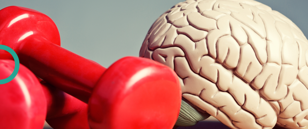 5 Benefits of Exercise During Exams - RegInsights