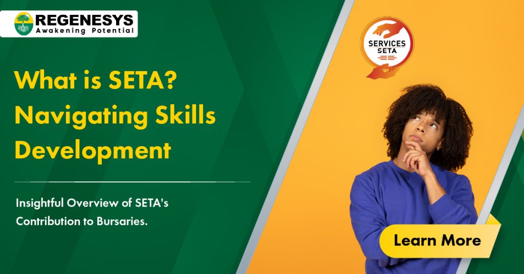 What is SETA? | Definition, Meaning and Bursary Type